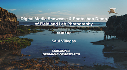 New Exhibit on the Digital Scholarship Commons VizWall | University Library